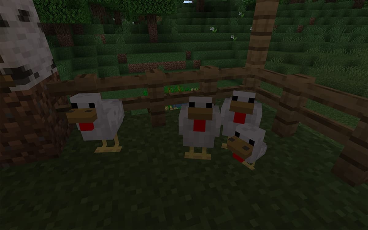 How to Tame a Chicken in Minecraft | 12tails | 12tails