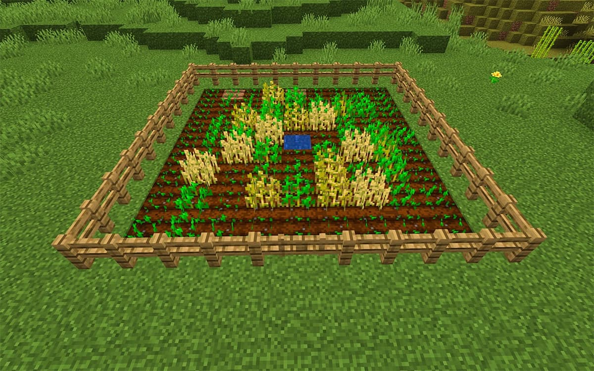 How to Grow Wheat in Minecraft | 12tails | 12tails